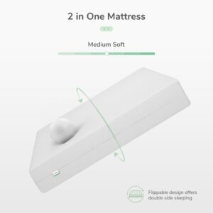 Novilla Queen Mattress 12 Inch Foam Mattress in a Box, High Density Base Support Foam for a Peaceful Sleep, Pressure Relief, Medium Plush Queen Size Mattress with Tight Top