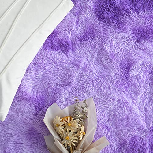 FlyDOIT Purple Tie-Dyed Large Rugs for Living Room, 4x6 Feet Shaggy Rug Fluffy Throw Carpets, Ultra Soft Plush Modern Indoor Fuzzy Rugs for Bedroom Girls Kids Nursery Room Dorm Home Decor