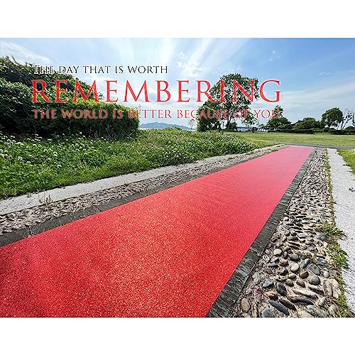 EZLucky Glitter Red Carpet Runner for Party, 2.46X15 ft, 200 GSM Glitter Non-Woven Fabric, Hollywood Red Carpet for Event, Aisle Runner for Wedding Ceremony, Movie Theme Party Decorations