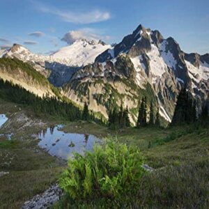 posterazzi pddus48ama0010large mount challenger and whatcom seen from tapto lakes basin on red face peak, north cascades national park photo print, 36 x 24, multi