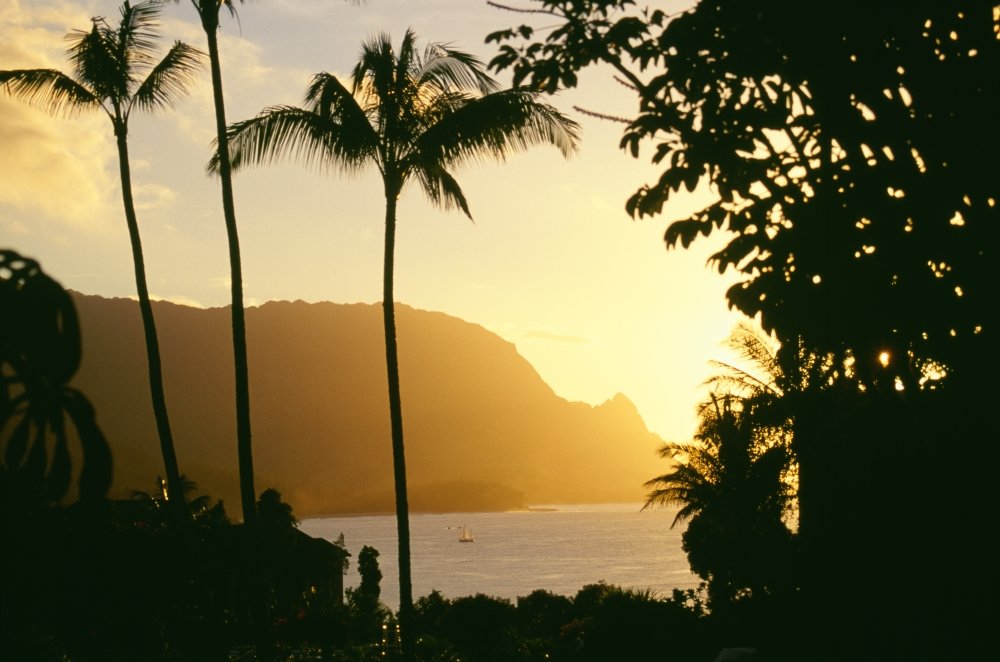 Posterazzi Hawaii Kauai Hanalei Bay Bali Hai Yellow Sunset Through Palm Trees And Vegetation Poster Print, (19 x 12)