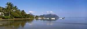 posterazzi palm trees at a coast kaneohe bay oahu hawaii usa poster print, (36 x 12)