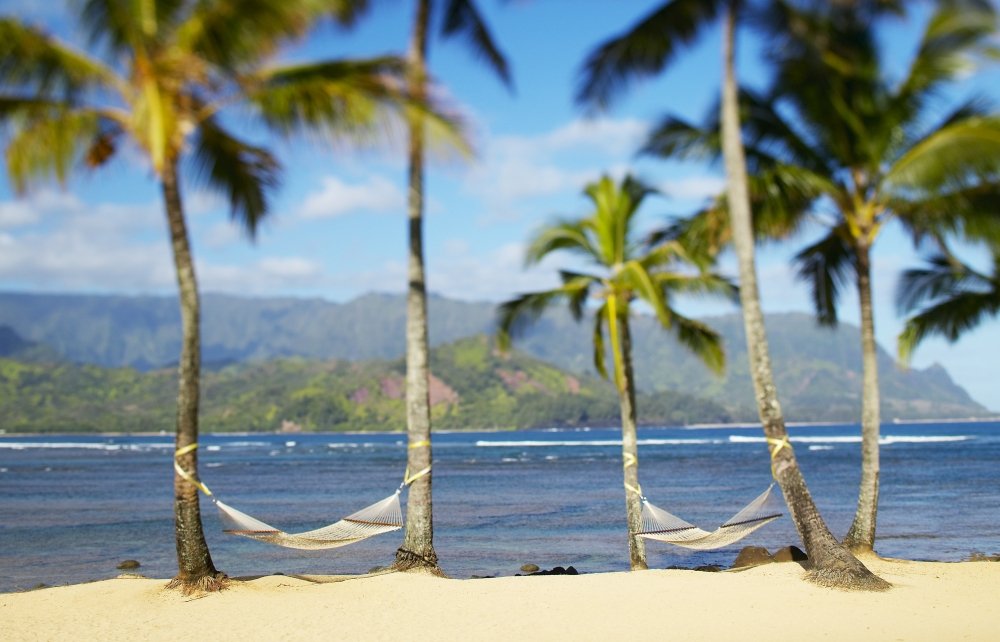 Posterazzi USA Hawaii Kauai Two hammocks hanging between palm trees on sandy tropical beach Hanalei Bay Princeville Poster Print, (17 x 11)