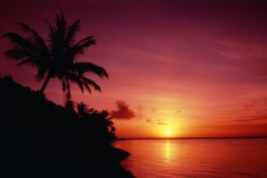 posterazzi guam pago bay sunrise and palm tree bright pink sky poster print, (19 x 12)