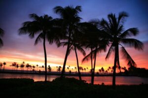 posterazzi hawaii big island south kohala anaeho'omalu bay dramatic and colorful sunset sky with palm tree silhouettes. poster print, (17 x 11)