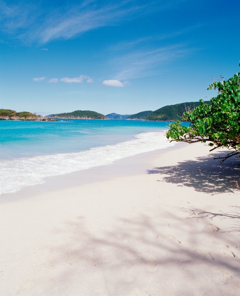 Posterazzi US Virgin Islands St. John Cinnamon Bay Trees at the North Shore Poster Print, (29 x 36)