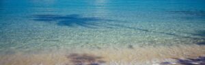 posterazzi shadow of trees on water hawksnest bay national park st john us virgin islands poster print, (27 x 9)