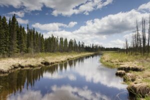 posterazzi clouds reflected in a tranquil river lined with trees thunder bay ontario canada poster print, (19 x 12)