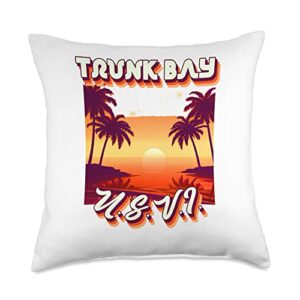 trunk bay retro beach accessories retro 80's style trunk bay usvi palm tree surf throw pillow, 18x18, multicolor