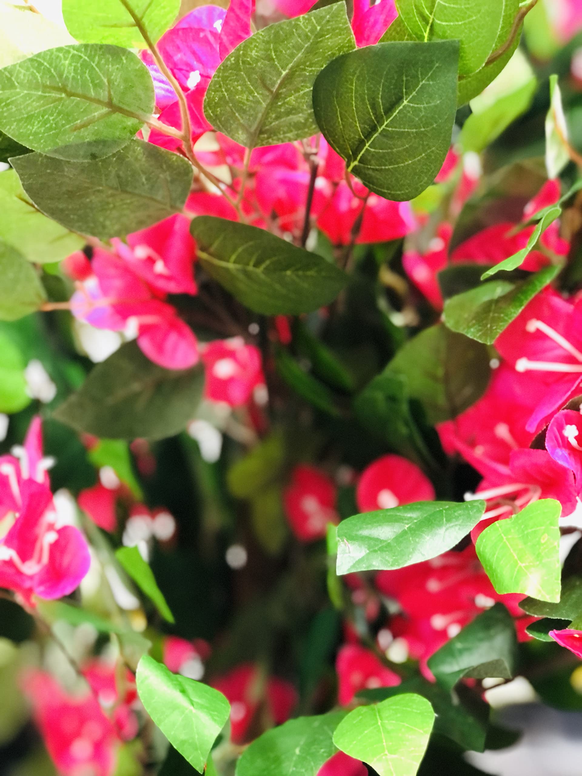 Pair AMERIQUE Gorgeous 5 Feet Blooming Artificial Bougainvillea Tree with Flowers & Real Wood Trunks, with Nursery Pots, Feel Real Technology Red and Green