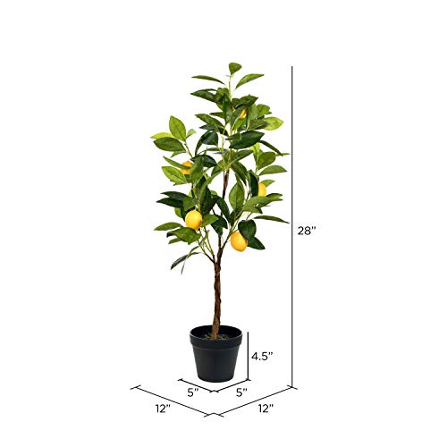 Vickerman Everyday 28" Artificial Potted Lemon Tree - Lifelike Home Or Office Decor - Premium Faux Potted Tree with Real Touch Leaves - Maintenance Free