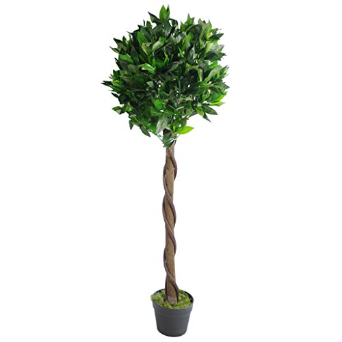 Leaf Artificial Topiary Bay Laurel Tree Ball Style Plain Stem in Black Plastic Pot, 120cm (4ft) Twist, Youth Large / 11-13