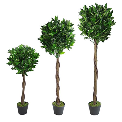 Leaf Artificial Topiary Bay Laurel Tree Ball Style Plain Stem in Black Plastic Pot, 120cm (4ft) Twist, Youth Large / 11-13