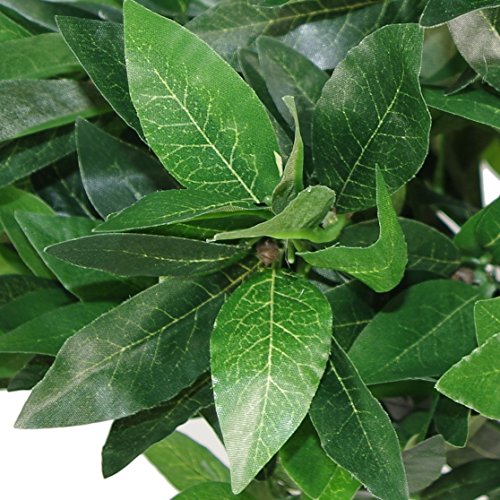 Leaf Artificial Topiary Bay Laurel Tree Ball Style Plain Stem in Black Plastic Pot, 120cm (4ft) Twist, Youth Large / 11-13