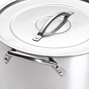 IMUSA USA Stainless Steel Stock Pot 20-Quart, Silver