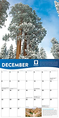 2024 National Park Foundation Wall Calendar: 12-Month Nature Calendar & Photography Collection (Monthly Calendar)