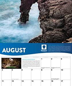 2024 National Park Foundation Wall Calendar: 12-Month Nature Calendar & Photography Collection (Monthly Calendar)