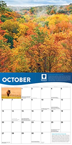 2024 National Park Foundation Wall Calendar: 12-Month Nature Calendar & Photography Collection (Monthly Calendar)