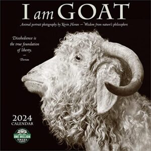 i am goat 2024 wall calendar: animal portrait photography by kevin horan and wisdom from nature's philosophers | 12" x 24" open | amber lotus publishing