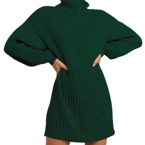 ANRABESS Women Oversized Turtleneck Batwing Long Sleeve 2024 Fall Casual Baggy Loose Cozy Rib Knit Short Mini Sweater Dress Dark Green Small