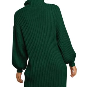 ANRABESS Women Oversized Turtleneck Batwing Long Sleeve 2024 Fall Casual Baggy Loose Cozy Rib Knit Short Mini Sweater Dress Dark Green Small