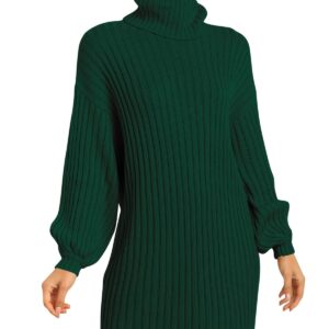 ANRABESS Women Oversized Turtleneck Batwing Long Sleeve 2024 Fall Casual Baggy Loose Cozy Rib Knit Short Mini Sweater Dress Dark Green Small