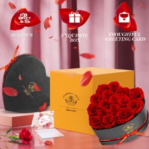 Impouo 16 Preserved Flower, Fresh Forever Roses in Heart Shape Box, Eternal Roses, Birthday Gifts for Women, Wife, Her, Mother's Day, Valentine's Day-Red Roses