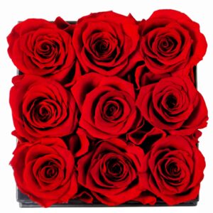 YFYS Forever Rose Flowers for Delivery Prime - 9pcs Preserved Fresh Roses, Genuine Roses That Last for Years, for Birthday Gifts for Women, Valentines Day, and Mother's Day