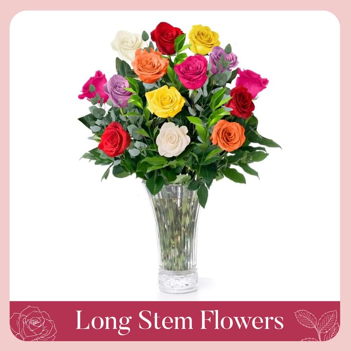 Fresh Flowers Delivery - Next-Day Delivery - 24 Assorted Roses - Flower Fresh Bouquet - Fresh Cut Long Stem Roses Bouquet of Flowers Birthday Gifts for Women -Aquarossa Farms