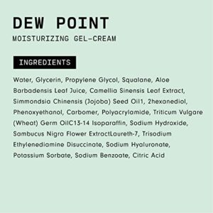 Versed Dew Point Gel Moisturizer For Face - Antioxidant-Rich Gel Cream with Green Tea Extract + Aloe Leaf Juice - Fast Absorbing, Non-Greasy Hybrid Facial Cream for Dry Skin, Vegan (2 fl oz)