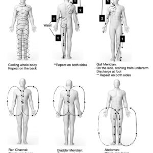 Terawave Terahertz (THZ) Quantum Wellness/Body/Water Enhancement Wand