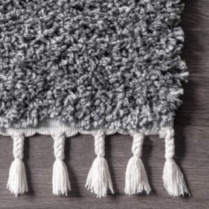 nuLOOM Gelina Soft Shaggy Tassel Plush Area Rug, 8x11, Dark Grey