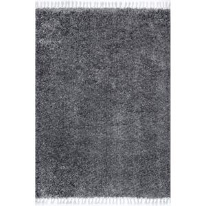 nuLOOM Gelina Soft Shaggy Tassel Plush Area Rug, 8x11, Dark Grey