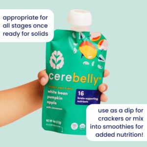 Cerebelly Baby Food Pouches – Organic Carrot Pumpkin (4 oz, Pack of 6) - Toddler Snacks - 16 Brain-supporting Nutrients, Healthy Snacks, Made with Gluten-Free Ingredients, No Added Sugar