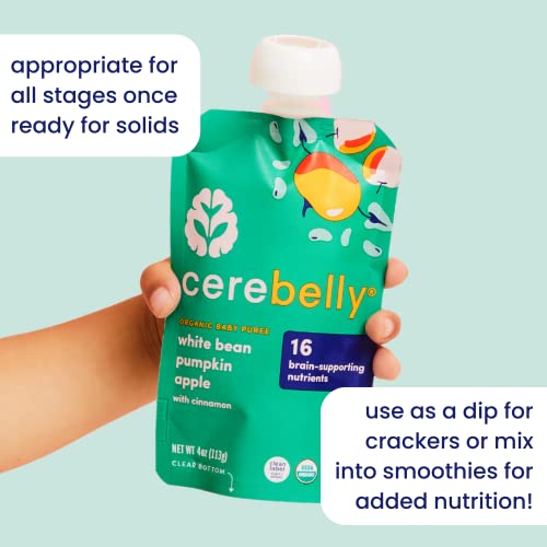 Cerebelly Baby Food Pouches – Organic Carrot Pumpkin (4 oz, Pack of 6) - Toddler Snacks - 16 Brain-supporting Nutrients, Healthy Snacks, Made with Gluten-Free Ingredients, No Added Sugar