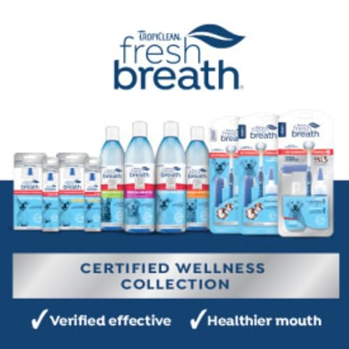 Fresh Breath Certified Wellness Collection Vet Recommended Peanut Butter Oral Care Clean Teeth Gel for Dogs, 4oz - Removes Plaque & Tartar - Cleans Teeth - Dog Dental Care - No Brushing Required