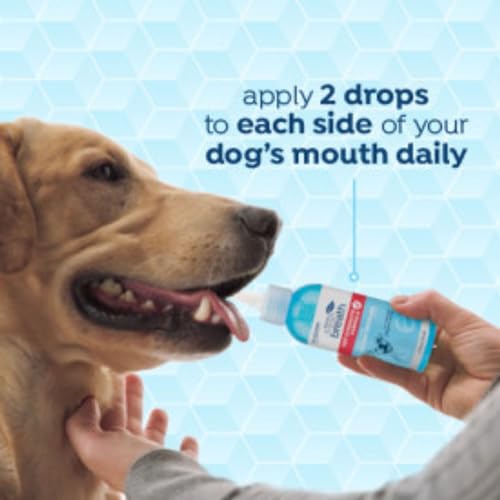 Fresh Breath Certified Wellness Collection Vet Recommended Peanut Butter Oral Care Clean Teeth Gel for Dogs, 4oz - Removes Plaque & Tartar - Cleans Teeth - Dog Dental Care - No Brushing Required