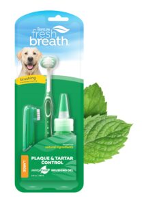 tropiclean fresh breath dog oral care kit | complete dog toothbrush and toothpaste set for plaque & tartar control | dog tooth brushing kit for large dogs