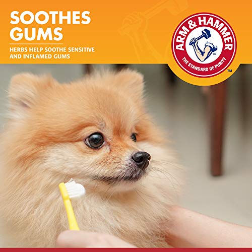 Arm & Hammer for Pets Clinical Care Dental Gum Health Enzymatic Toothpaste for Dogs | Soothes Inflamed Gums | Dog Toothpaste is Safe for All Dogs and Puppies, Beef Flavor, 2.5 Ounces