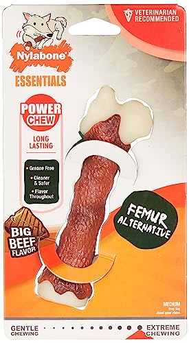 Nylabone Essentials Power Chew Beef Flavor Medium Dog Toy