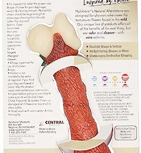 Nylabone Essentials Power Chew Beef Flavor Medium Dog Toy