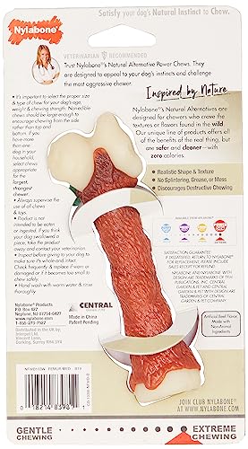 Nylabone Essentials Power Chew Beef Flavor Medium Dog Toy