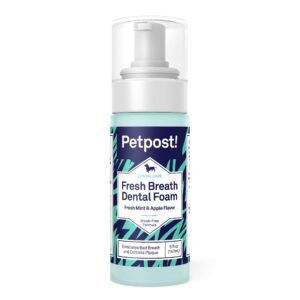 petpost | fresh breath foam for dogs - mint & apple flavored dental solution that eliminates bad breath - natural tooth cleaning treatment 5 oz.