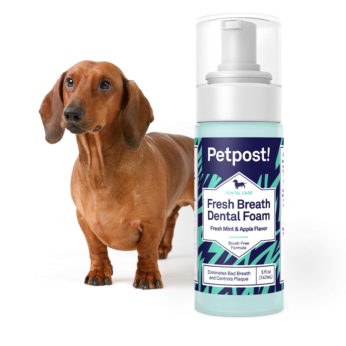 Petpost | Fresh Breath Foam for Dogs - Mint & Apple Flavored Dental Solution That Eliminates Bad Breath - Natural Tooth Cleaning Treatment 5 oz.