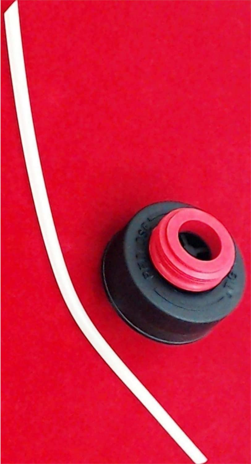 2032287 - Water Tank Cap and Insert compatible with Bissell Lift-off