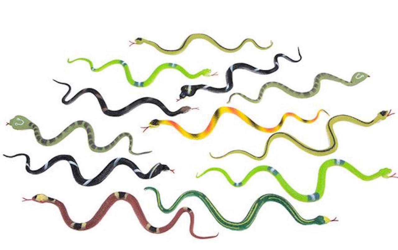 Rhode Island Novelty 6 Inch Rain Forest Snakes Set of 12