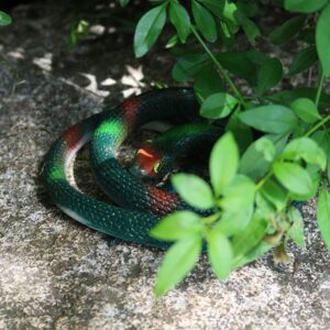 LRCXL Rubber Snakes to Keep Birds Away - 4 Pieces Realistic Fake Snake Toys for Garden Props to Keep Birds Away, Scare Squirrels, Mice, Pranks