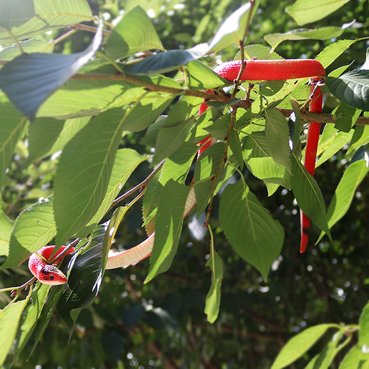 LRCXL Rubber Snakes to Keep Birds Away - 4 Pieces Realistic Fake Snake Toys for Garden Props to Keep Birds Away, Scare Squirrels, Mice, Pranks