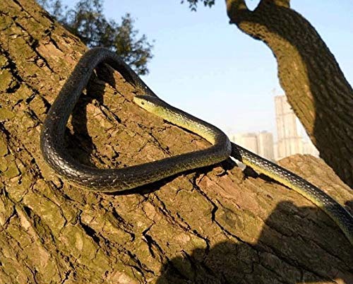 Yoogeer 47 Inches Rubber Lifelike Snakes Scary Gag Gift Incredible Creatures Chain Snakes Rain Forest Snake Toys Wild Life Snakes