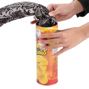 Prankstrick Pranks 22×8×8 Novelty Potato Chip Funny Pranks Joke Out Spring Snake Trick Toy